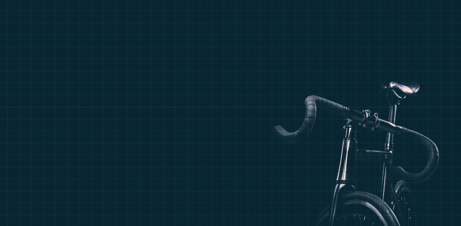 Ana Sayfa – BİSED